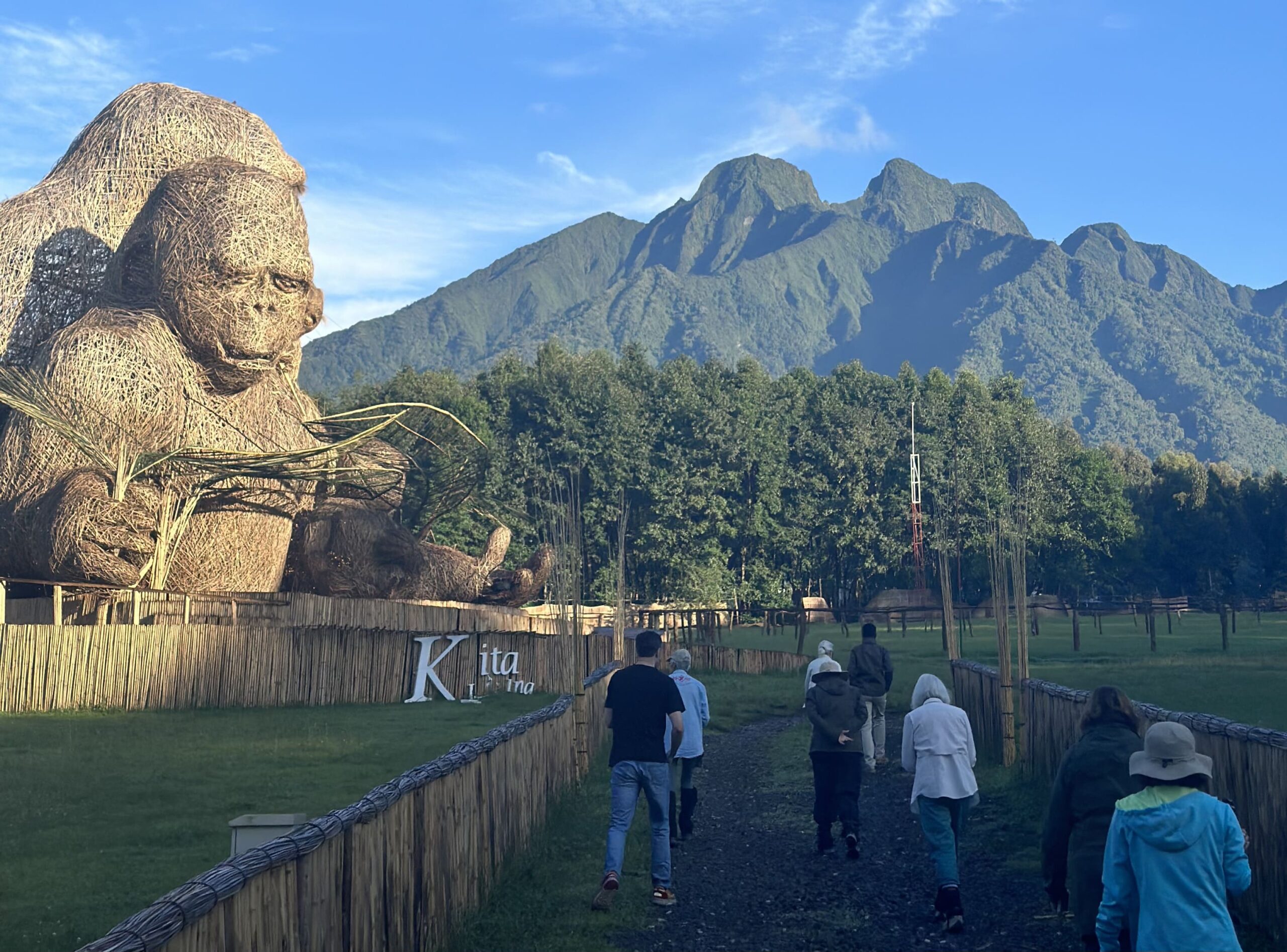 Volcanoes National Park - Shalom Safaris