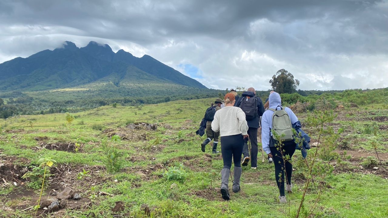 TOP TOURIST ACTIVITIES IN RWANDA%%%SHALOM SAFAIS RWANDA